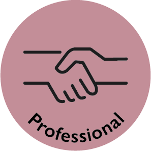 Department of Premier and Cabinet - DPAC Values